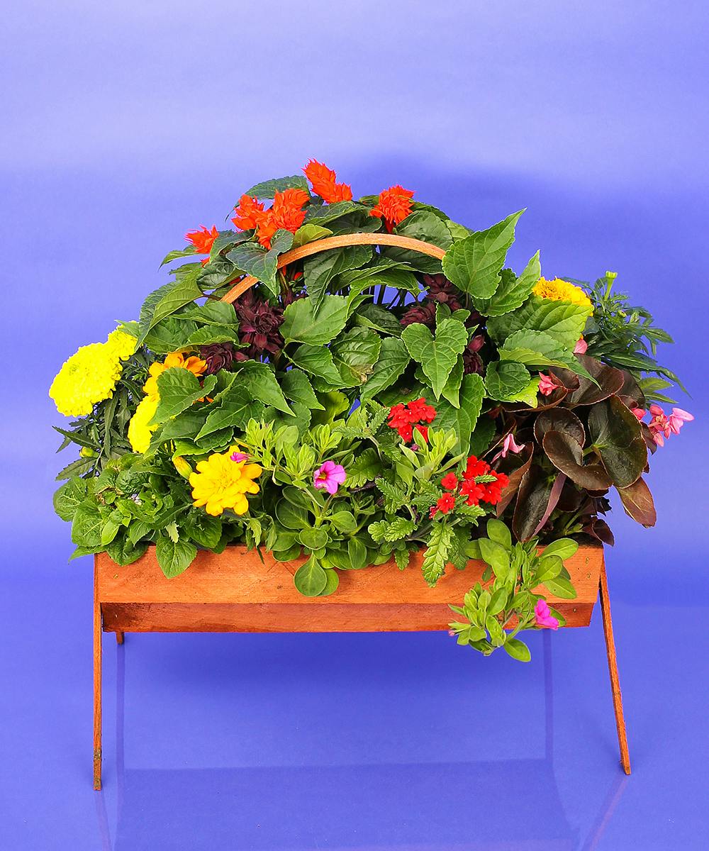 Cemetary Basket 16-inch - Same Day Delivery, Danvers, MA - Currans Flowers