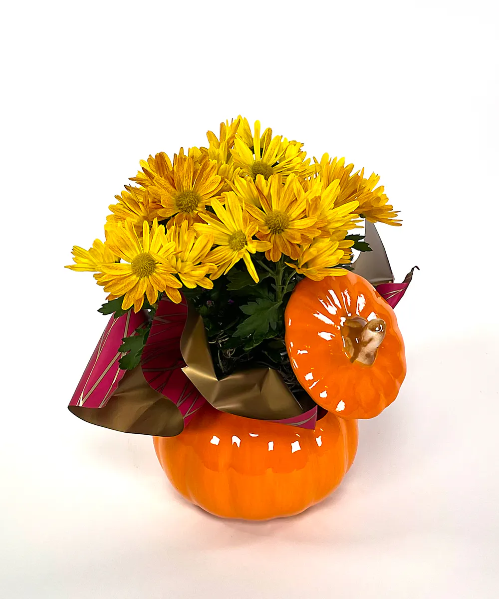 Shop Fall Flowers - Autumn Arrangement Danvers & Beverly (MA) Currans ...