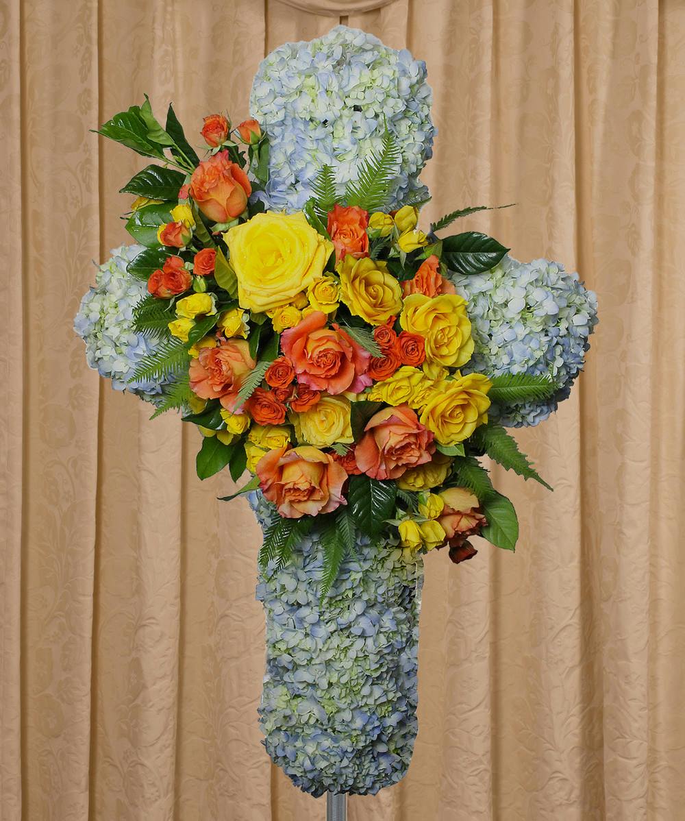 Colorful Hydrangea Cross-Currans Flowers