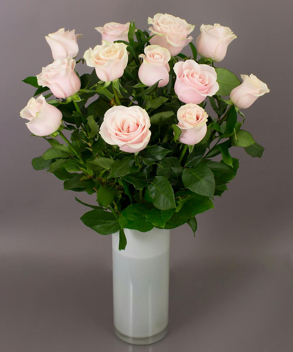 Long Stemmed Pink Roses Danvers, MA - Currans Flowers