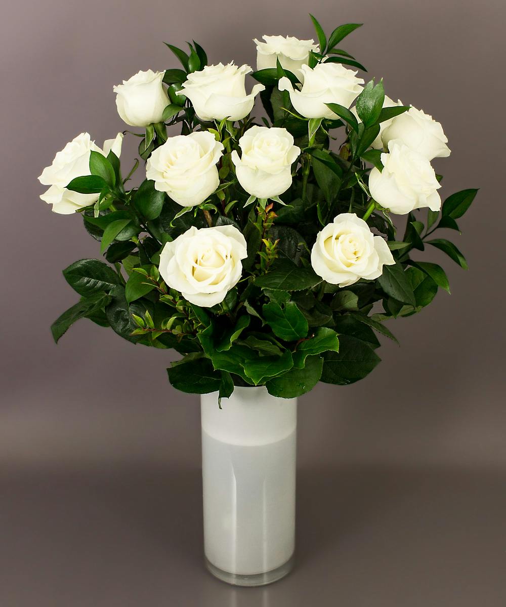 Long Stemmed White Roses - Danvers, MA - Currans Flowers