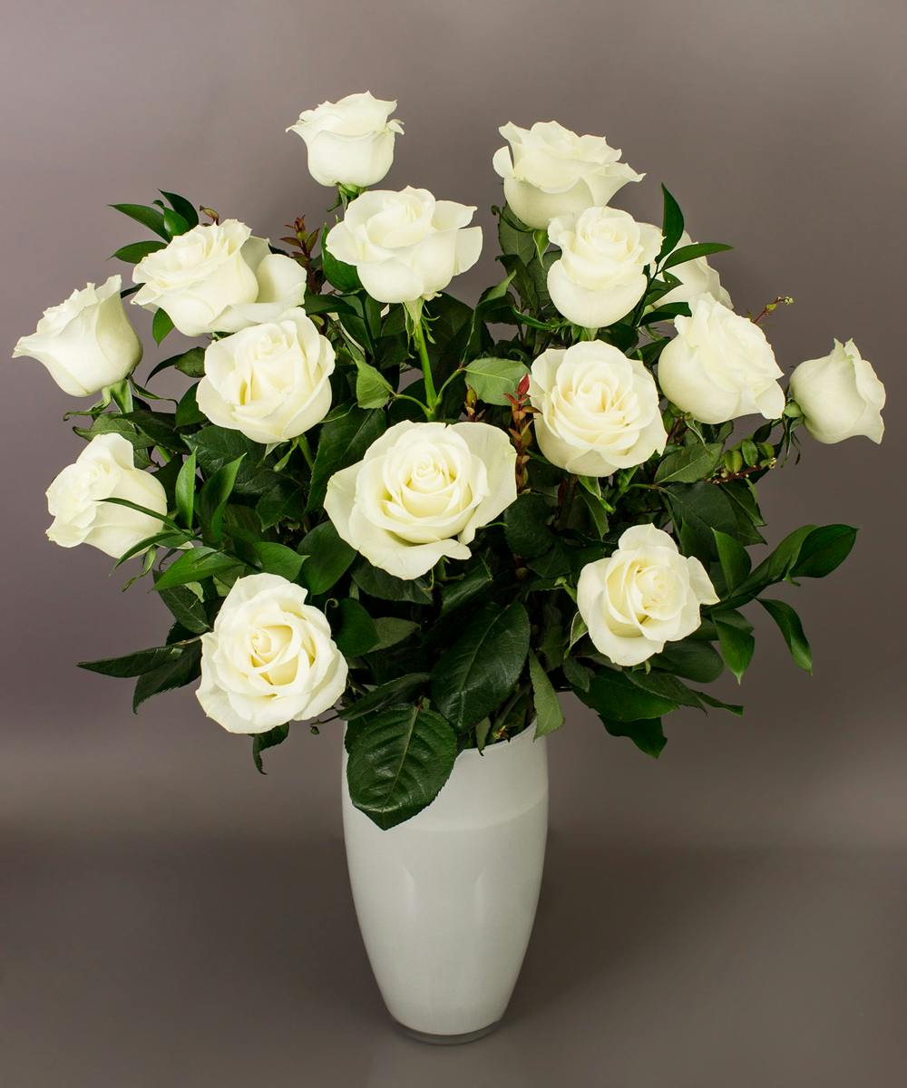 Long Stemmed White Roses - Danvers, MA - Currans Flowers