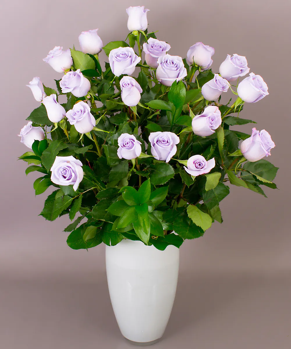 Long Stemmed Lavender Roses - Same day delivery, Danvers, MA - Currans ...