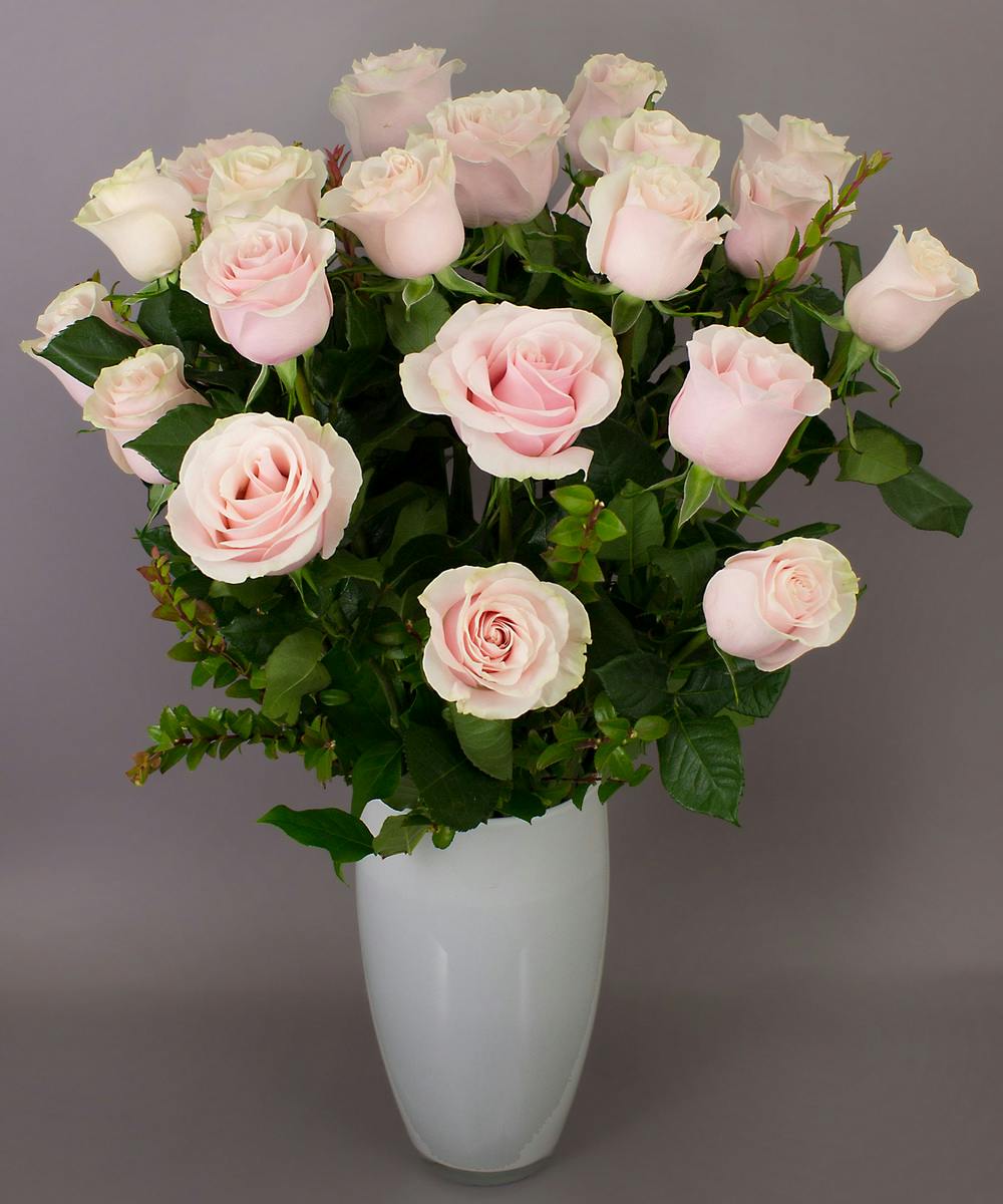 Long Stemmed Pink Roses Danvers, MA - Currans Flowers